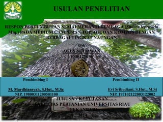 power point seminar penelitan Kehutanan UR (Budidaya) | PPTX