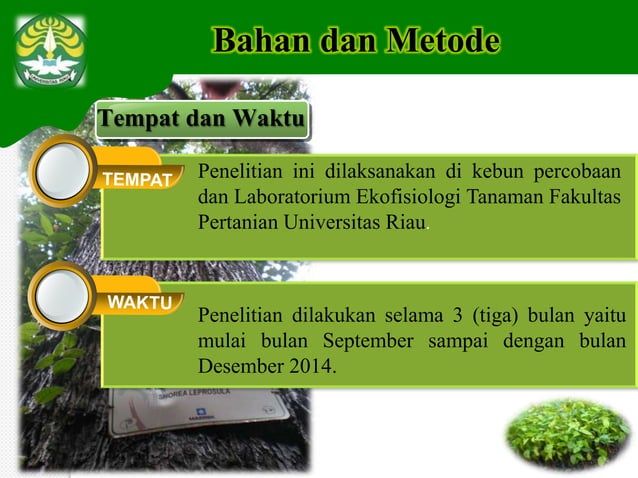 power point seminar penelitan Kehutanan UR (Budidaya) | PPT