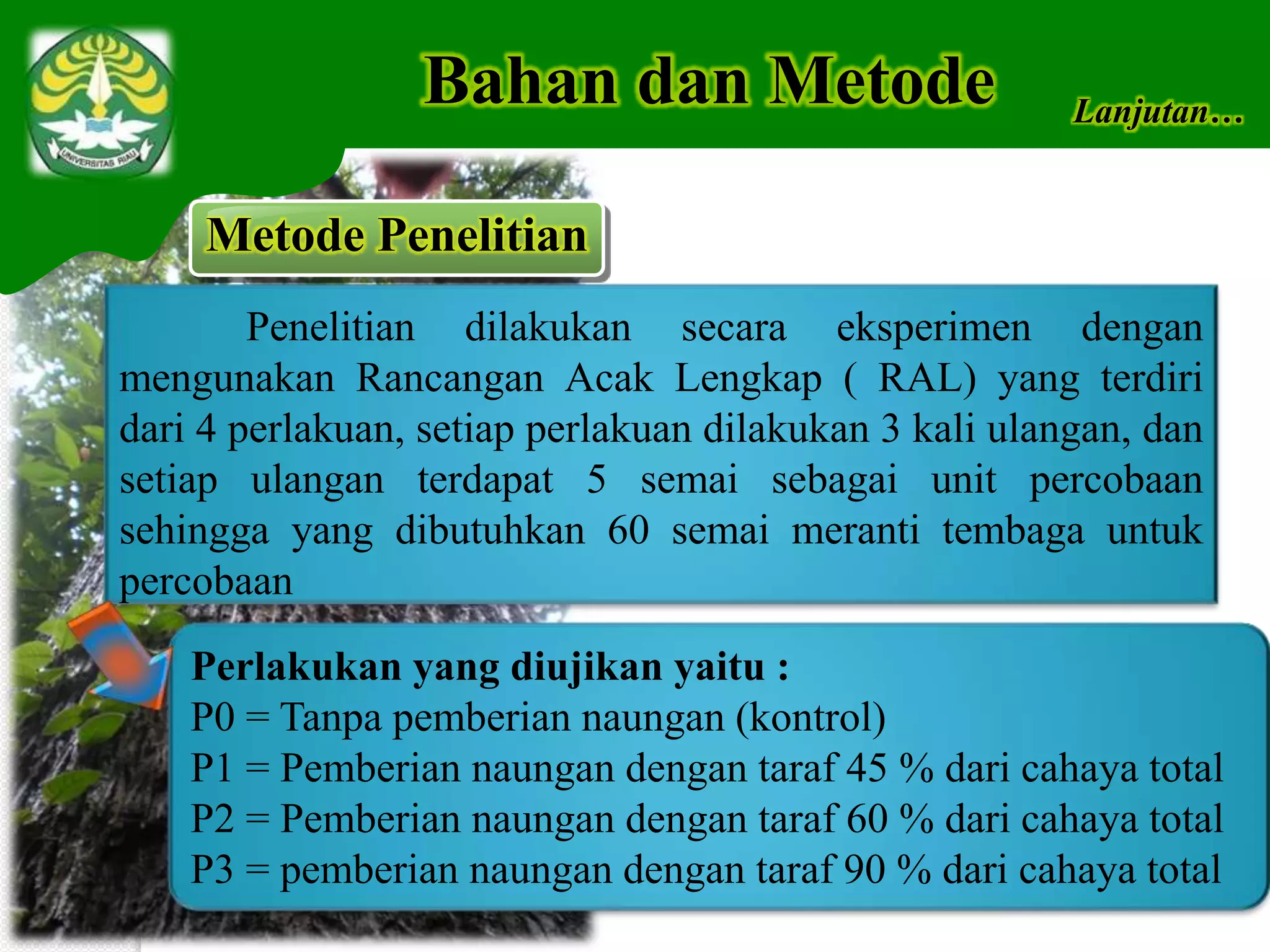 power point seminar penelitan Kehutanan UR (Budidaya) | PPTX