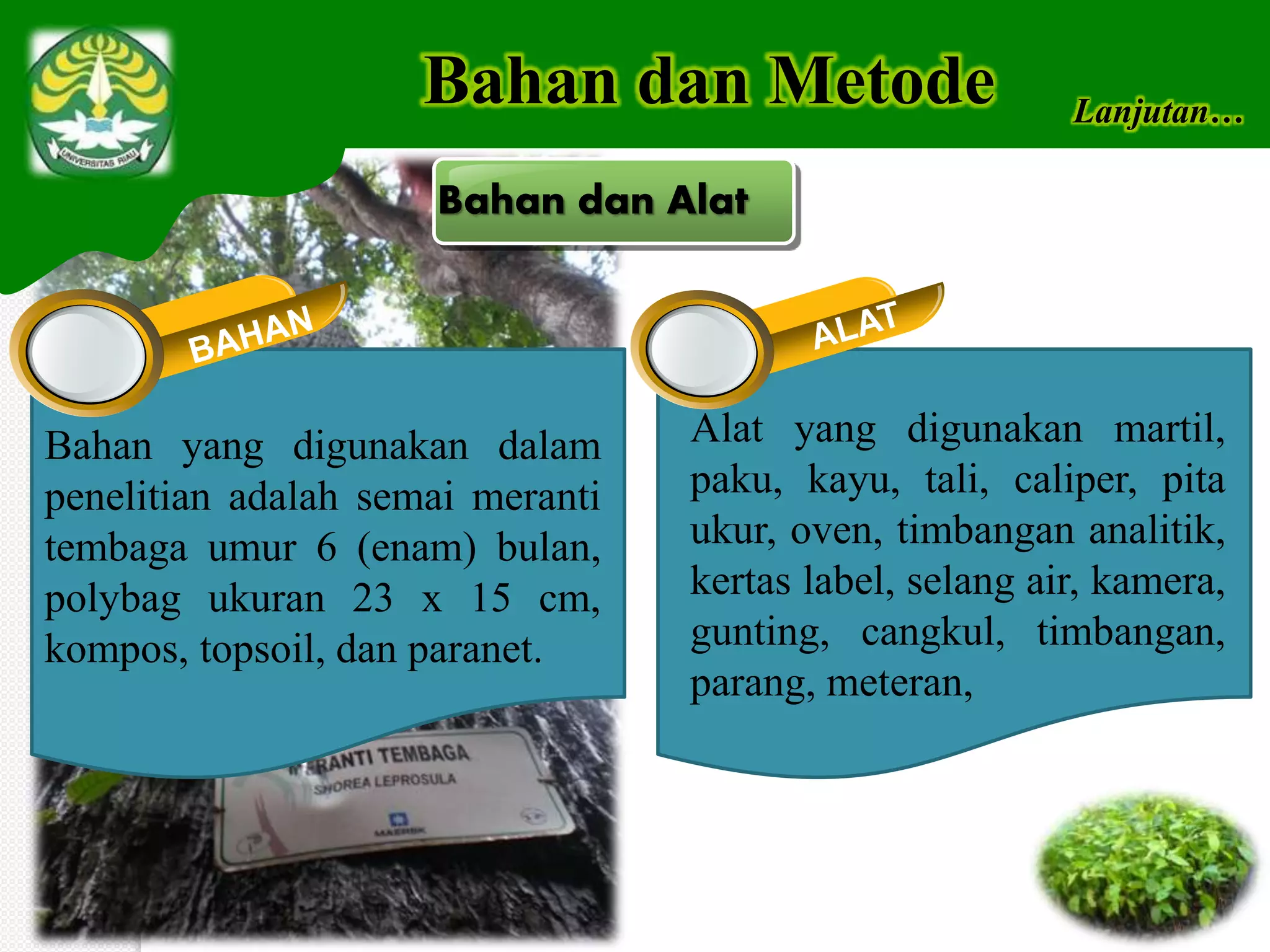 power point seminar penelitan Kehutanan UR (Budidaya) | PPTX