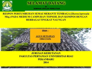 power point seminar penelitan Kehutanan UR (Budidaya) | PPTX