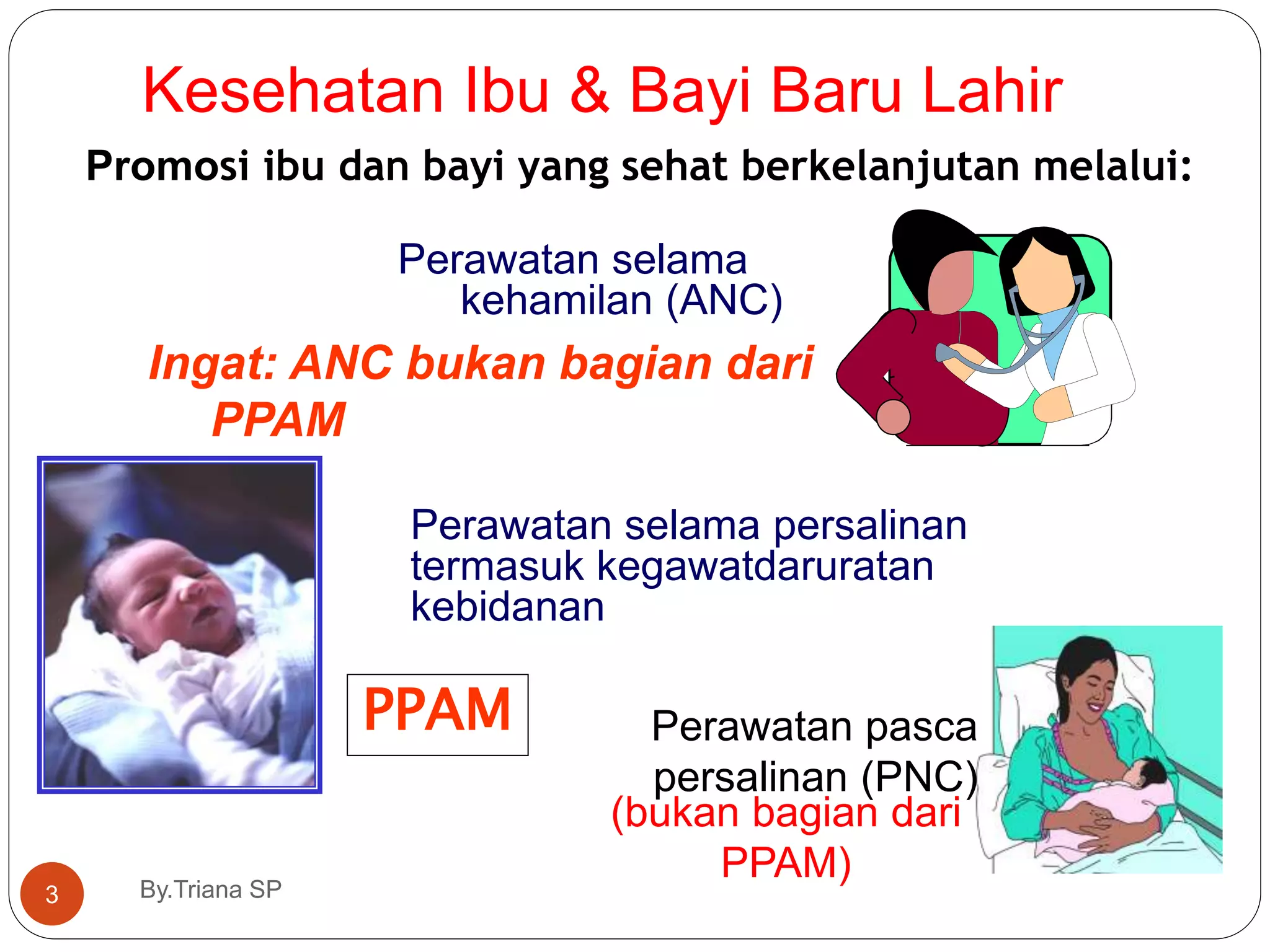 PPAM kes ibu dan anak | PPT