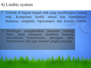 PP Anatomi.pptx | Free Download