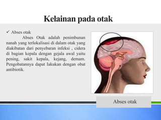 PP Anatomi.pptx | Free Download