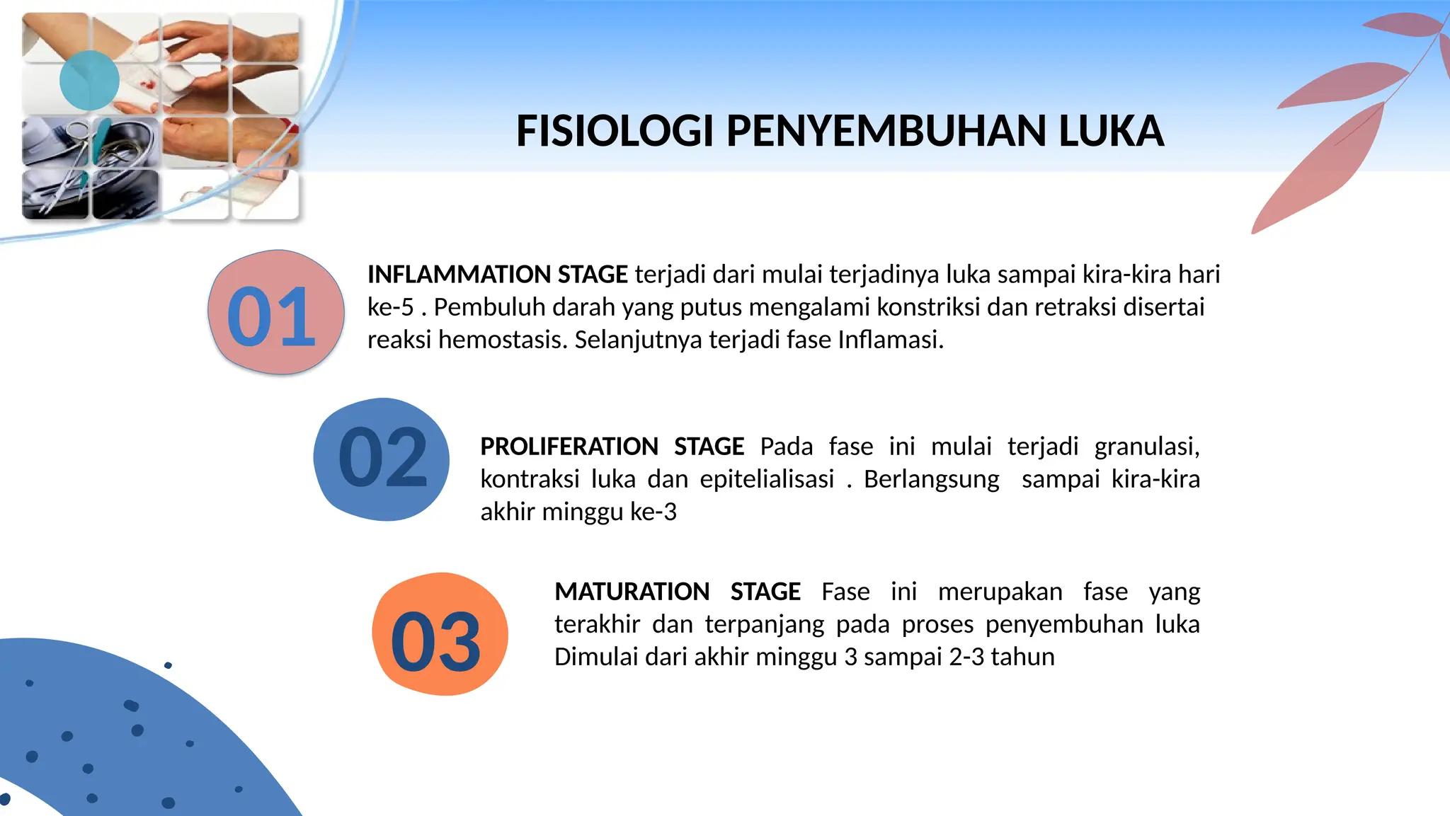 powerpoint anatomidan fisiologis kulit.pptx