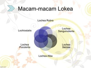 Perubahan fisiologis masa nifas | PPT