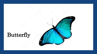 Alphabet - Letter B | PPTX