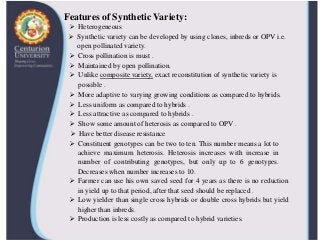 Synthetic & Composite Varieties in Plant Breeding | PPTX
