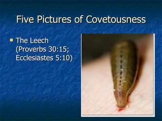 Five pictures of covetousness | PPT