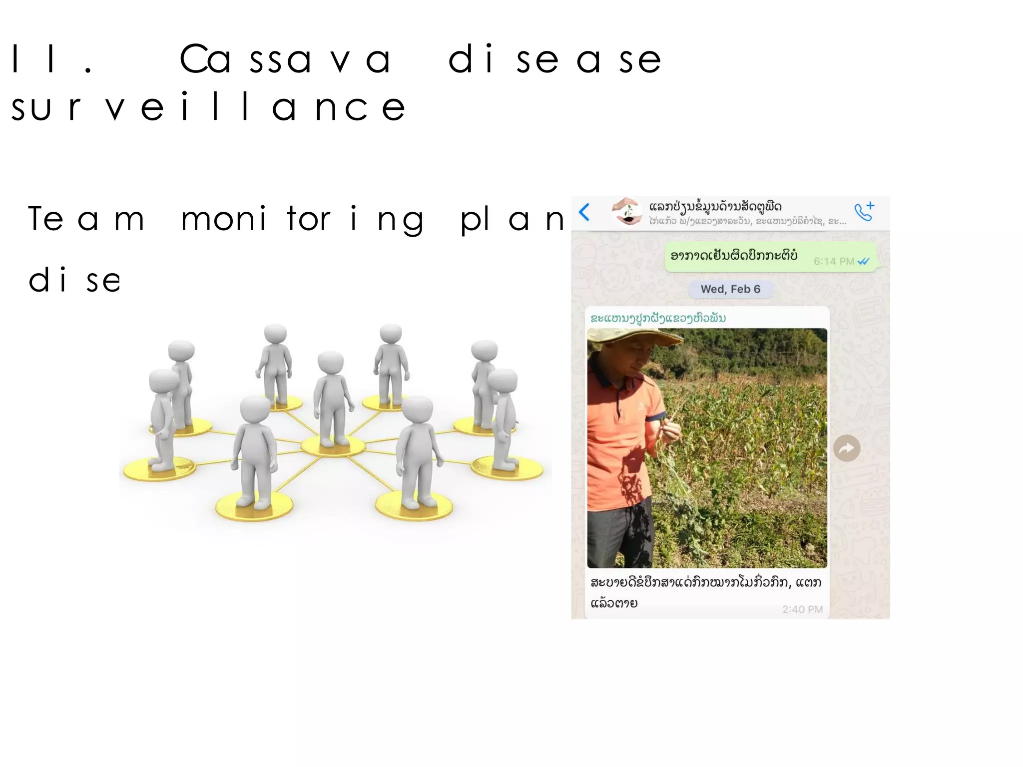 Cassava disease status in Laos | PPT