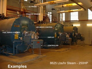 Fireye PPC4000 Combustion Efficiency System | PPT