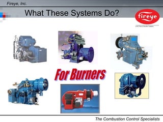 Fireye PPC4000 Combustion Efficiency System | PPT