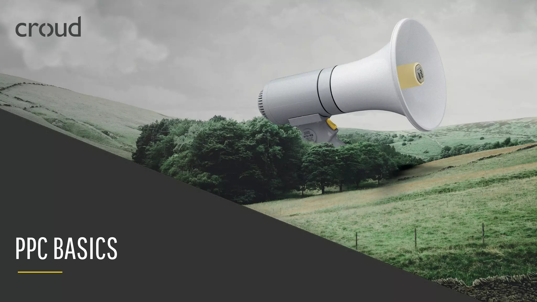 PPC basics | PDF | Search | Internet