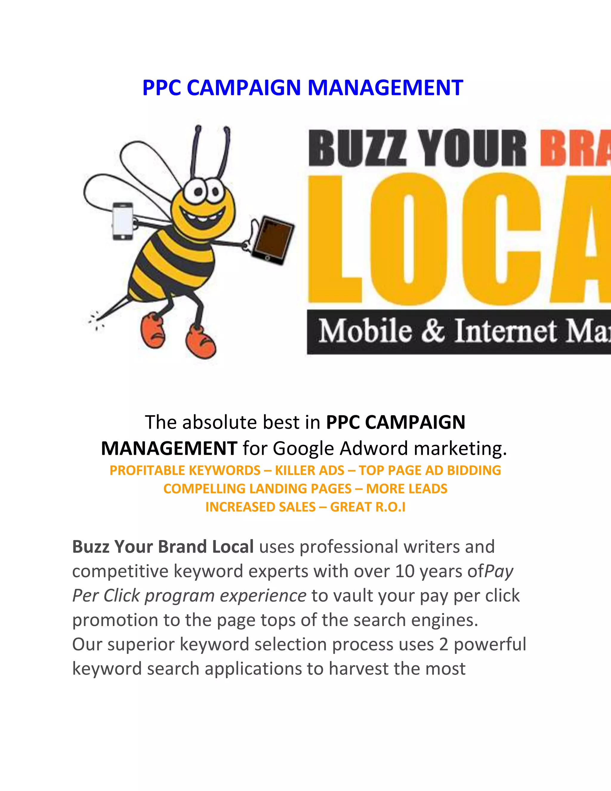 PPC CAMPAIGN MANAGEMENT | PDF
