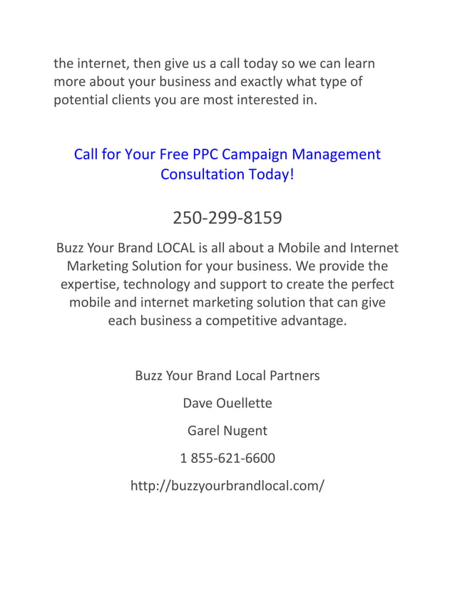 PPC CAMPAIGN MANAGEMENT | PDF