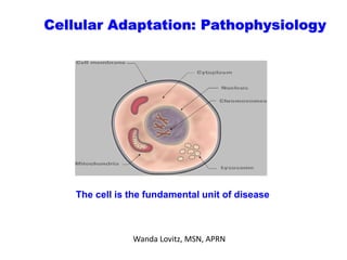 PP Cellular Adaptation .ppt