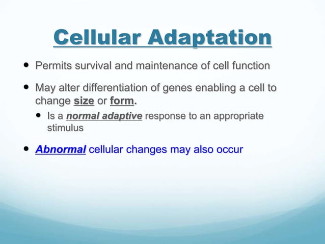 PP Cellular Adaptation .ppt