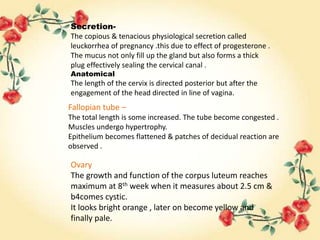 Physiological and psychological changes during pregnancyhanges ...