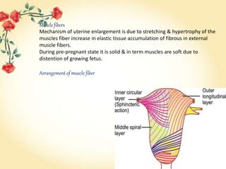 Physiological and psychological changes during pregnancyhanges ...