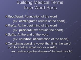 PPchap1Bavolek | PPT