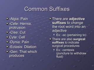 PPchap1Bavolek | PPT