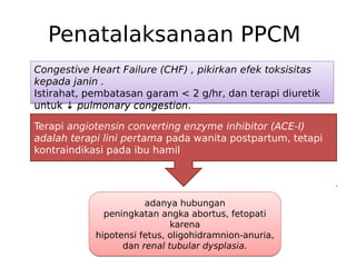 ppcm.pdf
