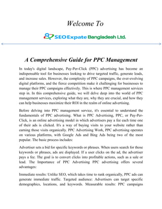 PPC Management Service | PDF