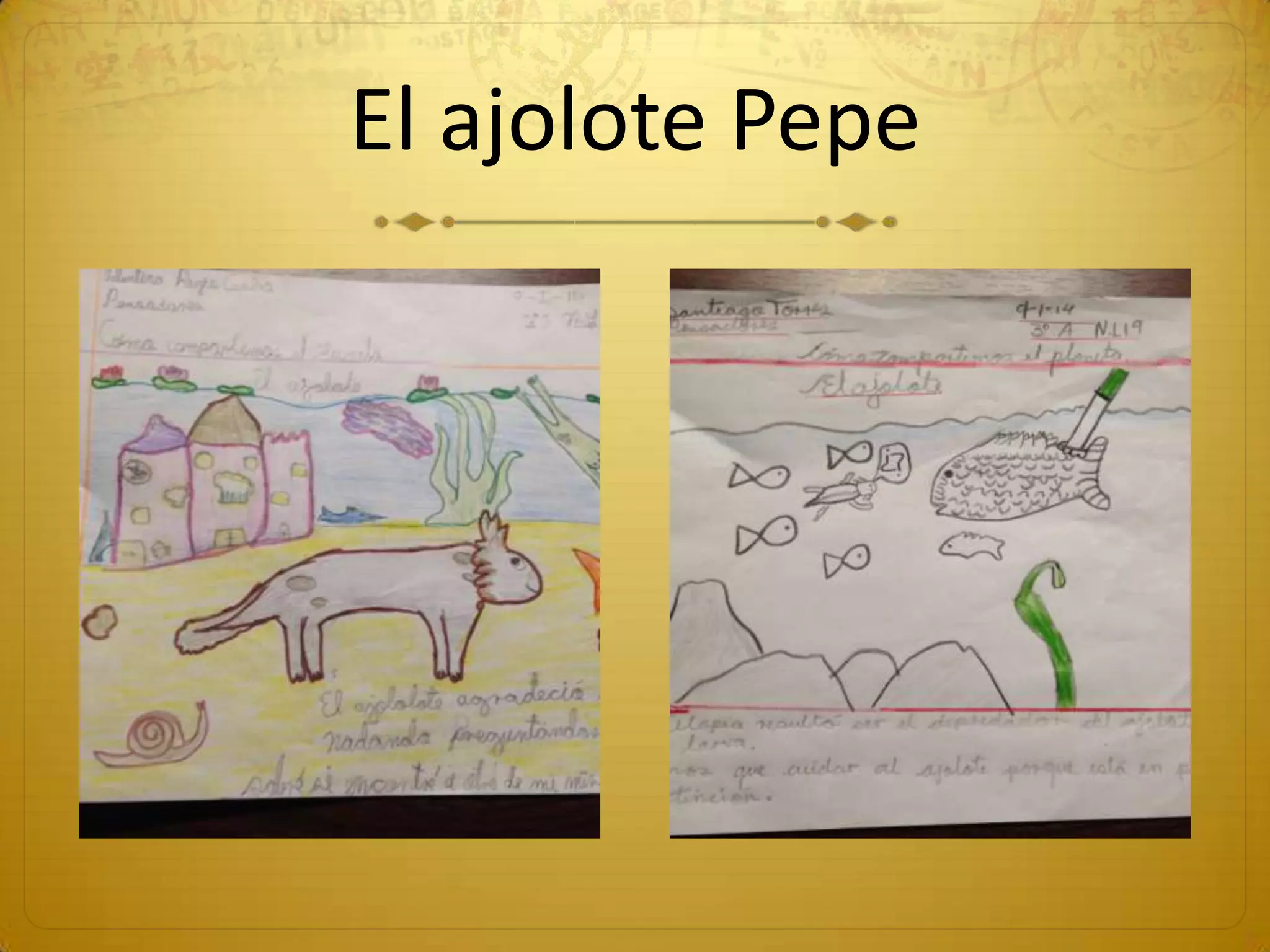 Pp cómo compartimos el planeta | PPT