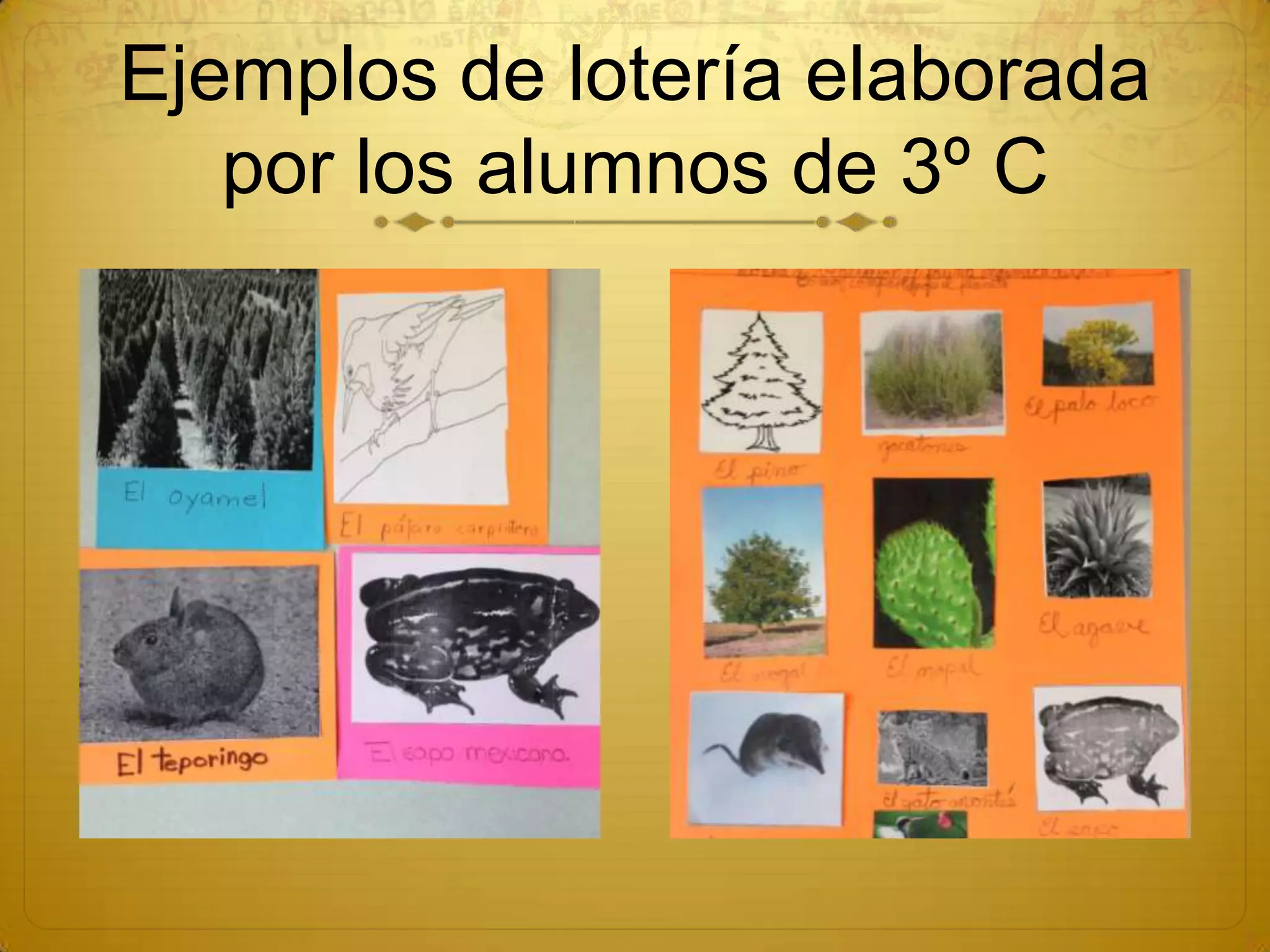 Pp cómo compartimos el planeta | PPT