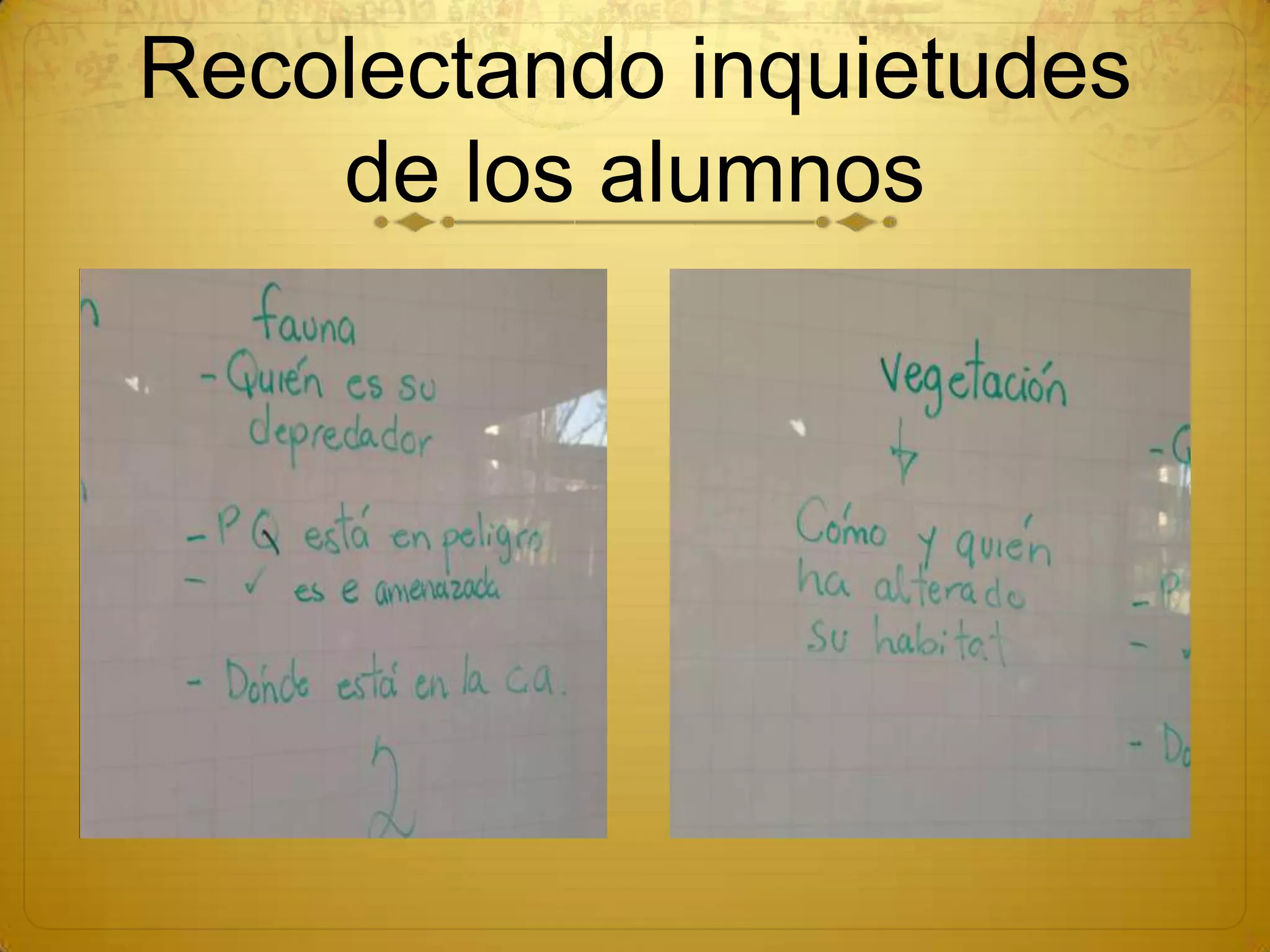 Pp cómo compartimos el planeta | PPT