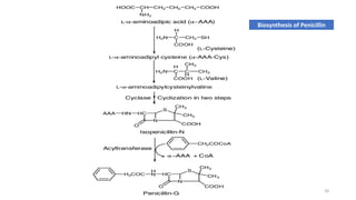 Introduction to Fermentation, and production of penicillin and ...