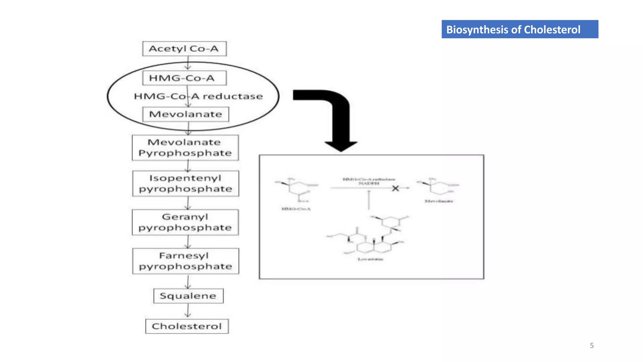 Industrial production of statins | PPTX