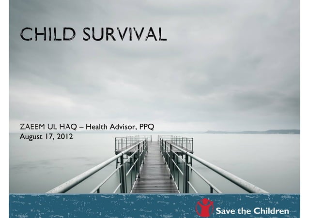 Child Survival Programme Framework | PDF | Infectious Diseases ...