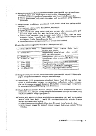 PPDB 2022-2023.pdf