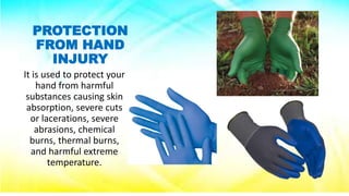 Personal Protective Equipment (Agri Crop 10) | PPTX