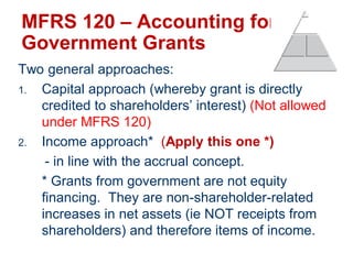 PPE2 Government Grants Financial Accounting Report 2 | PDF