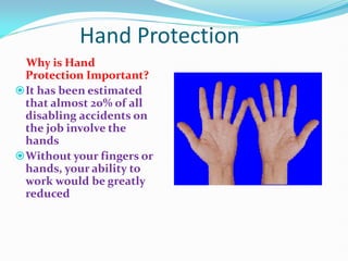 PPE (Personal ) & Its Importance in safety work | PDF