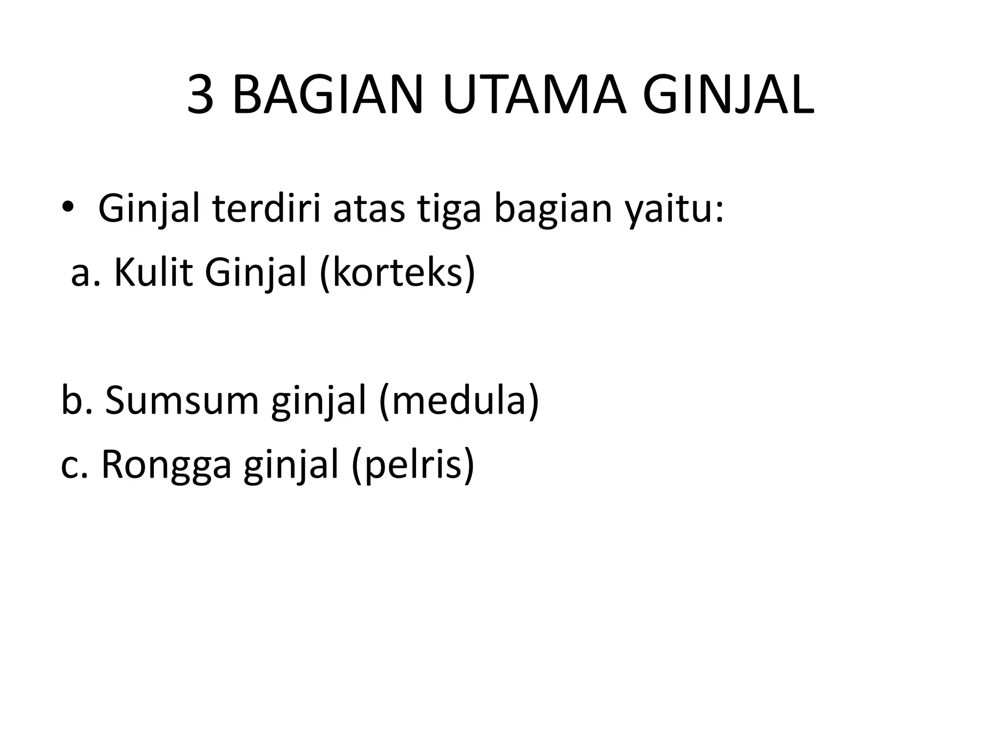 POWER POINT SISTEM EKSKRESI MANUSIA | PPTX