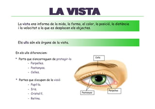 Pp els sentits | PDF