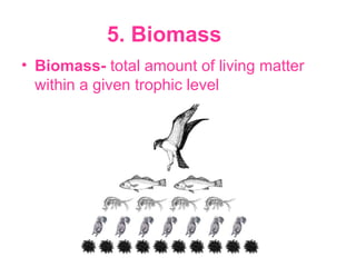 PP Energy Flow and Trophic Levels3 ppt hw | PPT