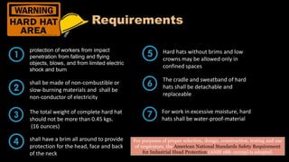 Rule 1080: Personal Protective Equipment (PPE) OSH Standards | PPTX