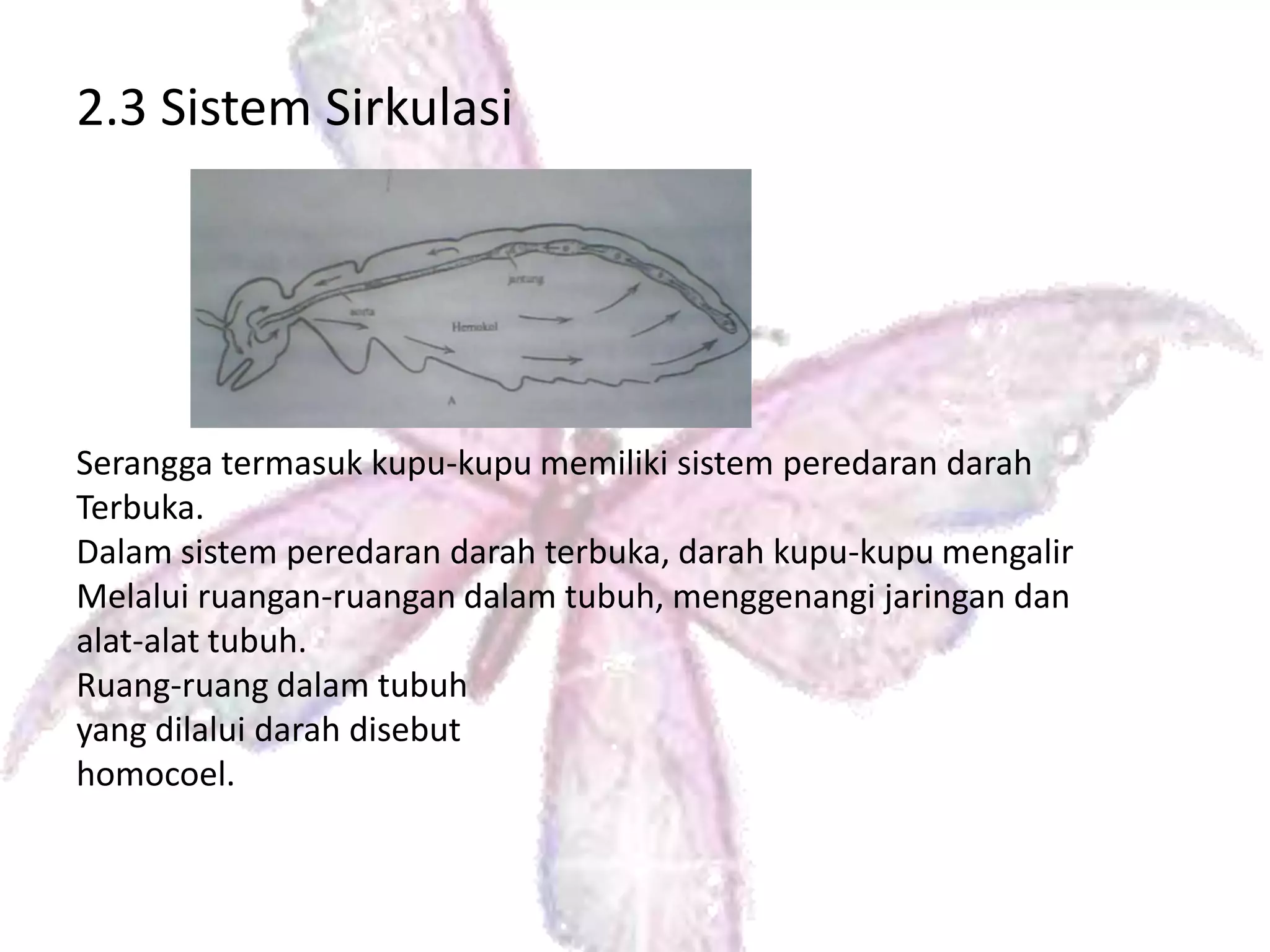 Pp entomologi nesti | PPTX
