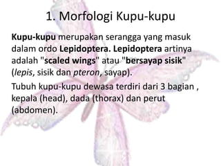 Pp entomologi nesti | PPTX