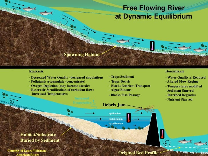 Dam Removal and Stream Restoration