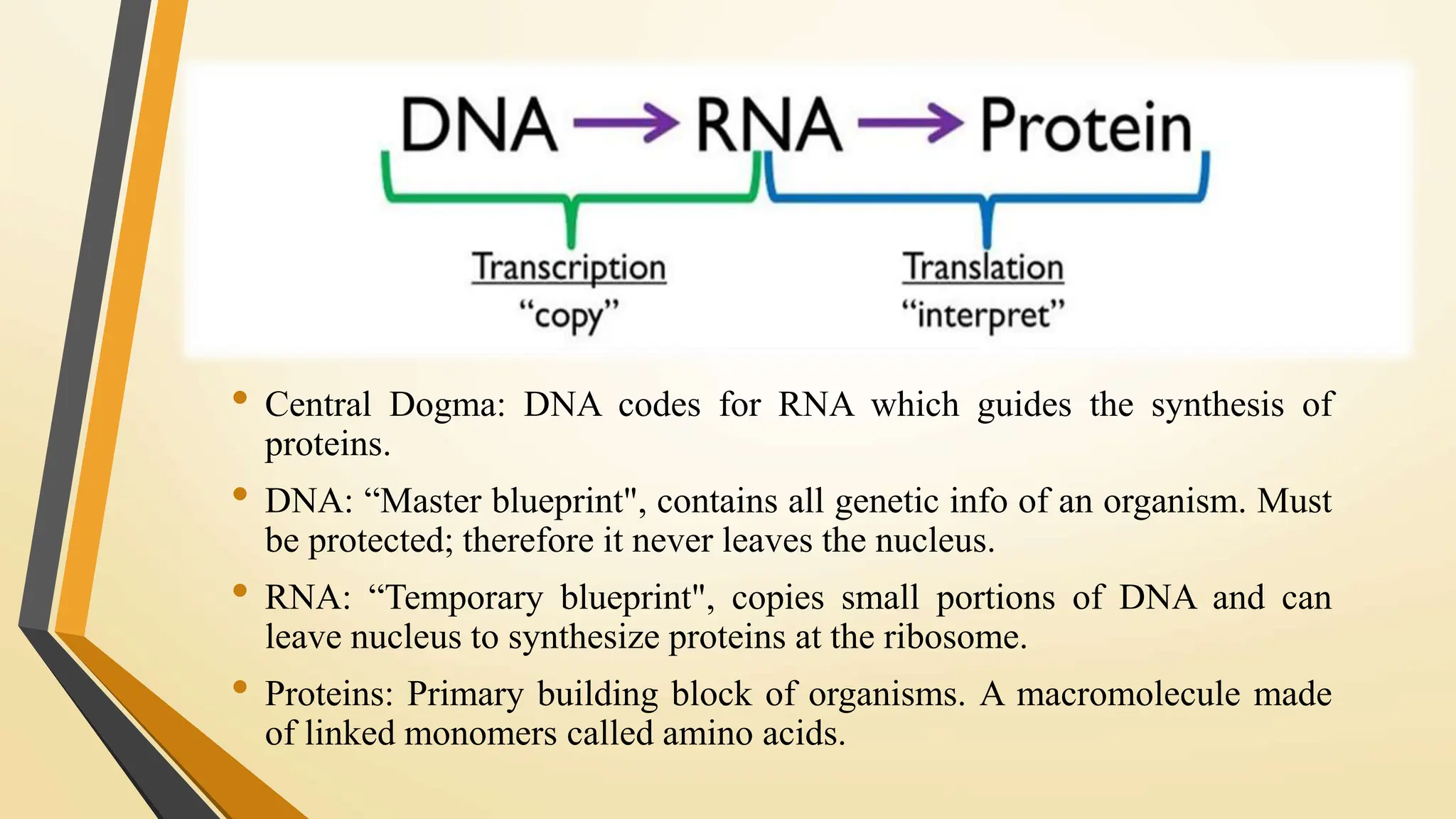 Resistance in plants through R-Genes mechanism.pptx