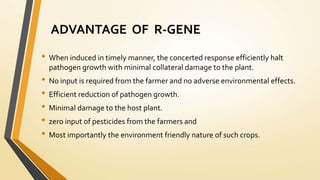 Resistance in plants through R-Genes mechanism.pptx