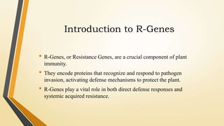 Resistance in plants through R-Genes mechanism.pptx