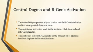 Resistance in plants through R-Genes mechanism.pptx