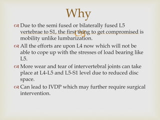 Pp for lumbarization and sacralization by Dr Dhruv Taneja Assistant ...