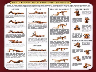 Lumbarization Vs Sacralization